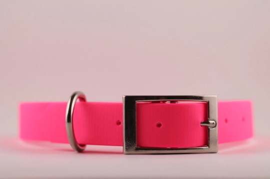 Biothane Waterproof Adjustable Collar With Buckle – Wishful Wags